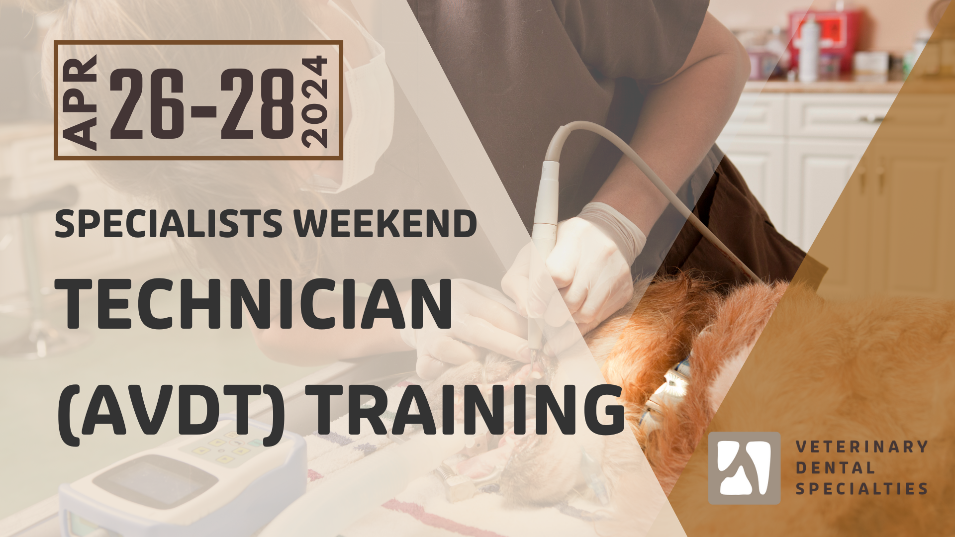 Veterinary Dentistry Specialties — Center of Excellence In Person VDS ...