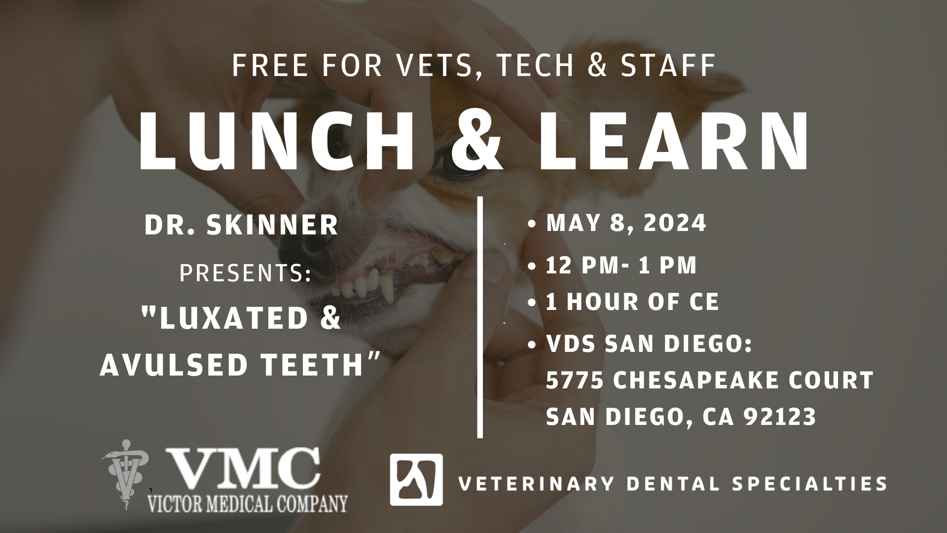 Veterinary Dentistry Specialties — Center of Excellence In Person VDS ...