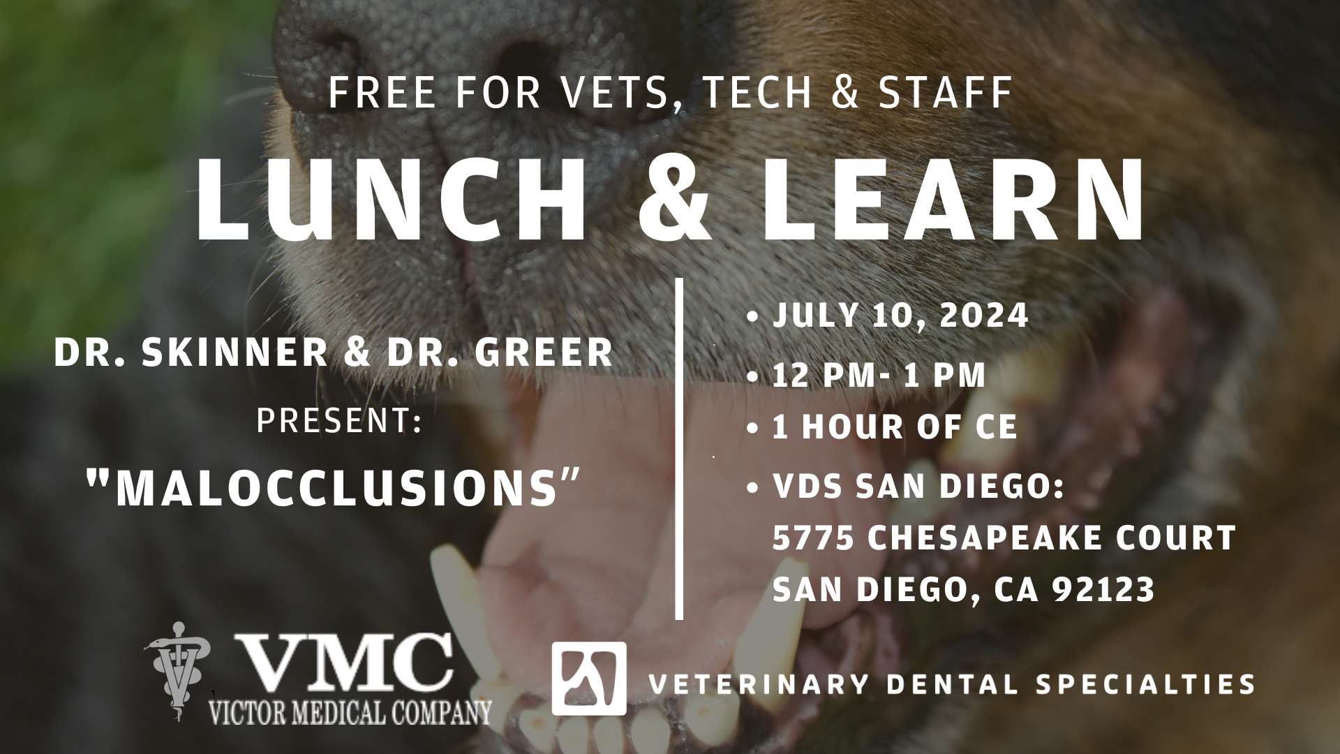 Veterinary Dentistry Specialties — Center of Excellence In Person VDS ...