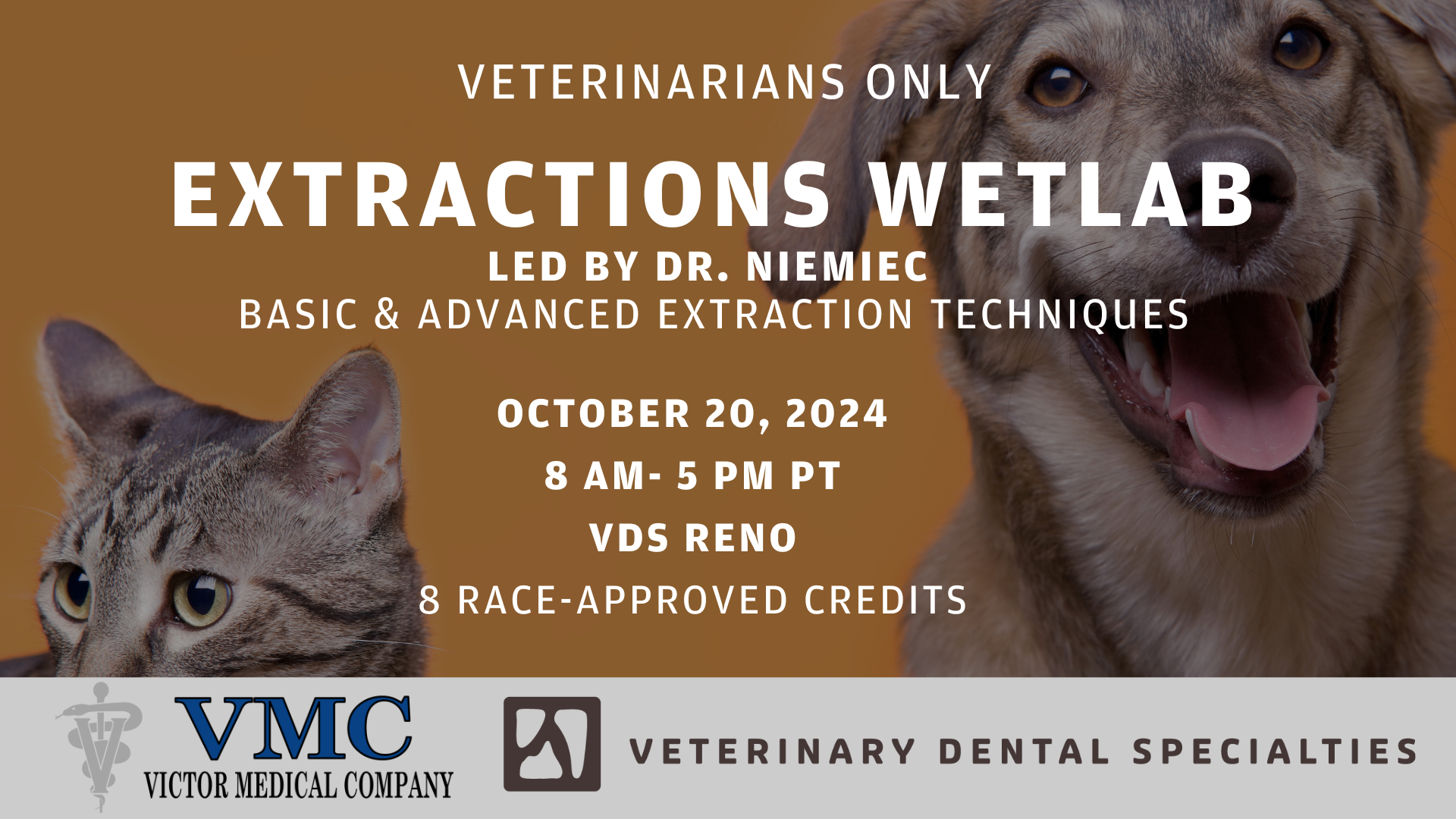 Veterinary Dental Specialties — Center of Excellence In Person VDS Classes
