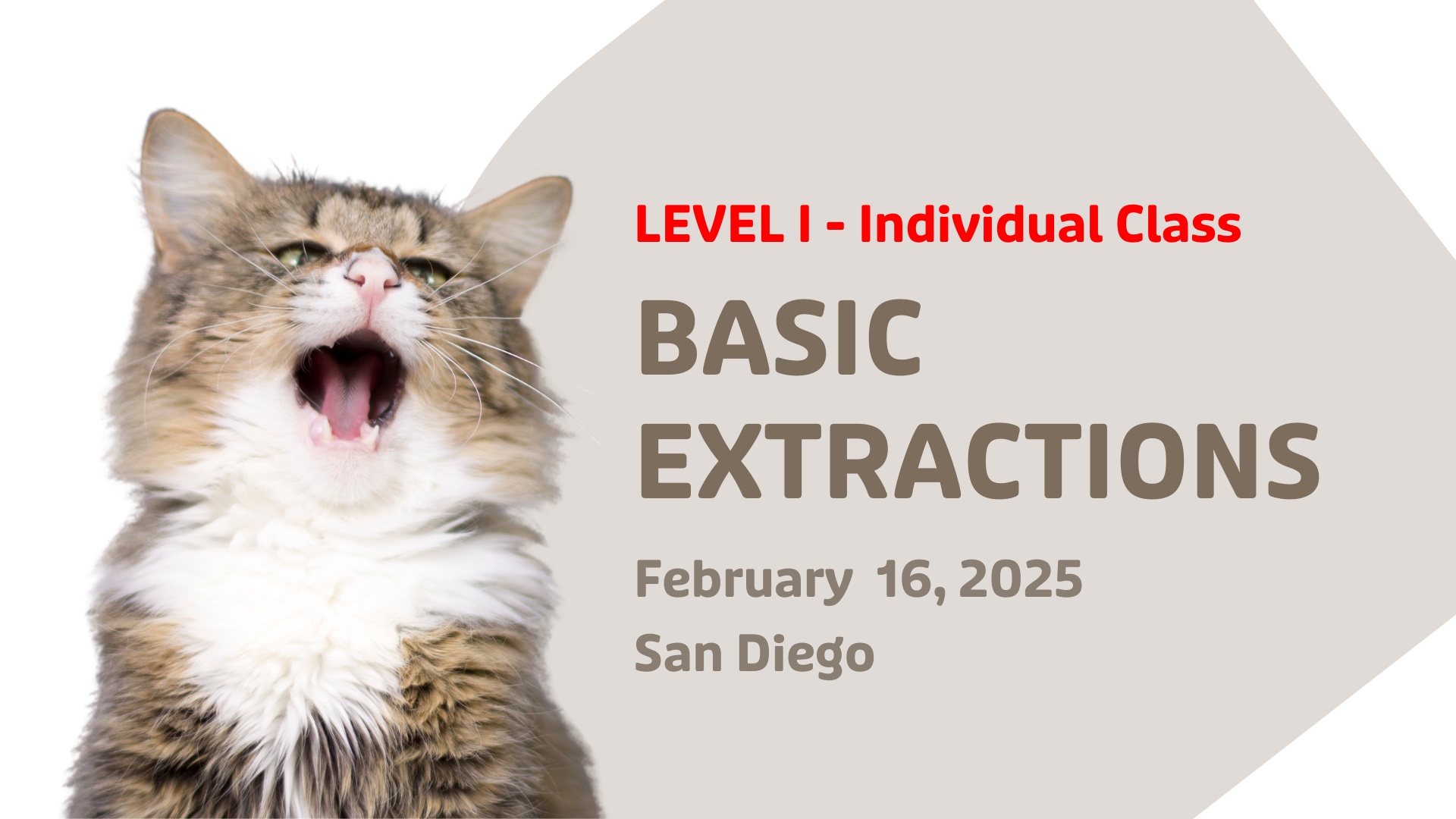 Veterinary Dental Specialties — Center of Excellence In Person VDS Classes